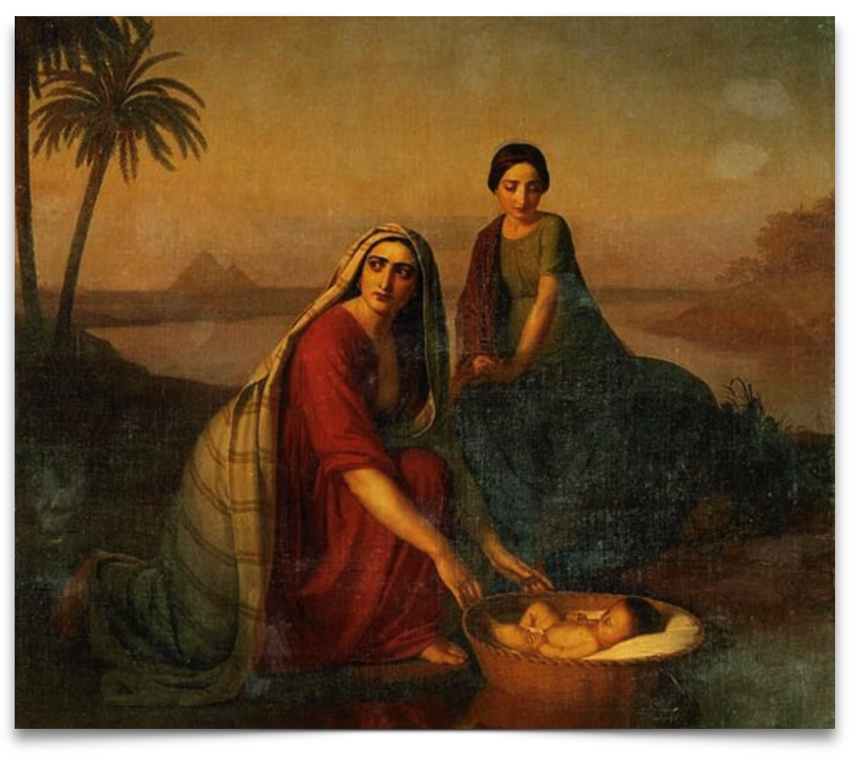 The One by Luke Schreiber | Moss Kingdom